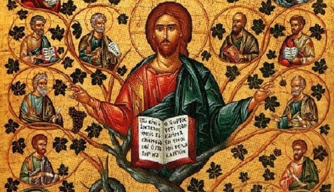 The Vine and Wine in Holy Scripture and their symbolism in the Divine ...