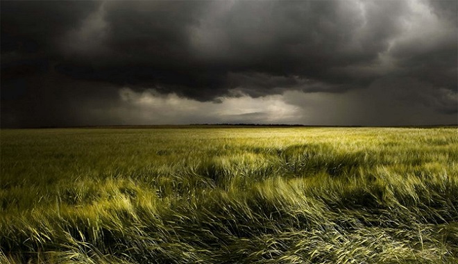 Coercion and violence are the basic characteristics of the patricidal ...